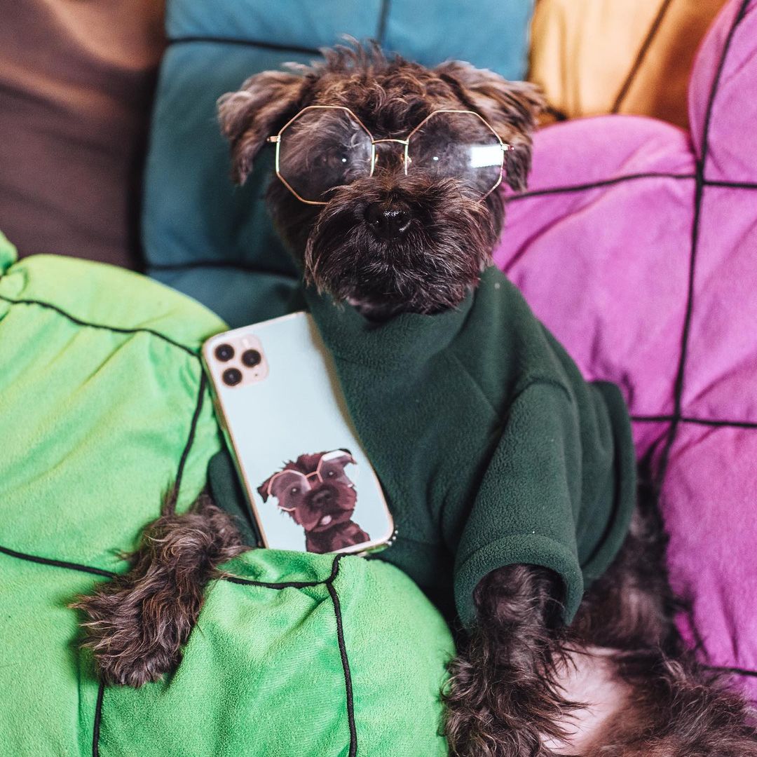 Custom Pet Portrait Print Phone Case | Printy Pets