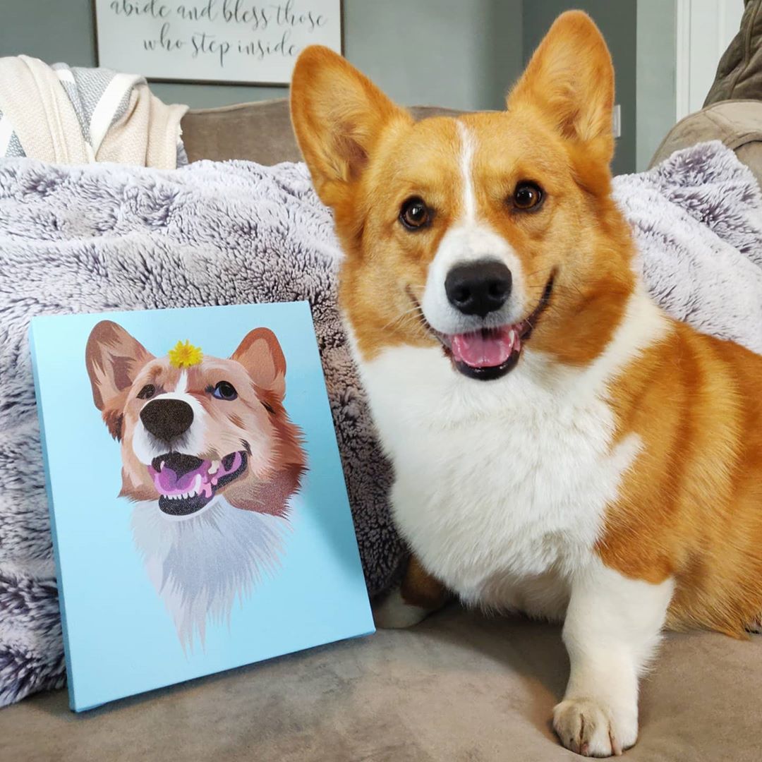 how to draw corgi meme